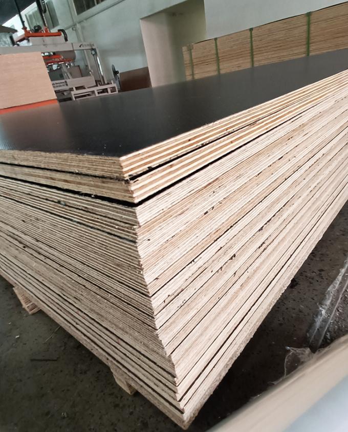 Birch Ply Sheet Veneer Ply Sheets Thermowood Laminated WBP Plywood
